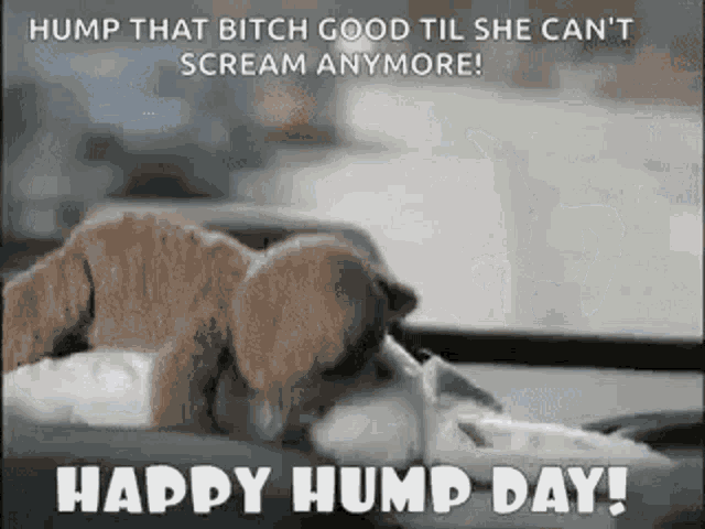 Happy Hump Day Blaupunkt Ad Happyhumpday Blaupunktad