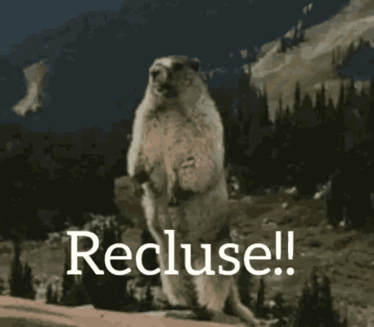 Yell Gopher Yell Gopher David Discover Share S