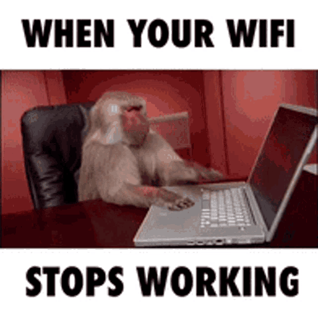 When Your Wifi Stops Working Mondkey GIF - WhenYourWifiStopsWorking ... When Your Wifi Stops Working Mondkey GIF - WhenYourWifiStopsWorking ...