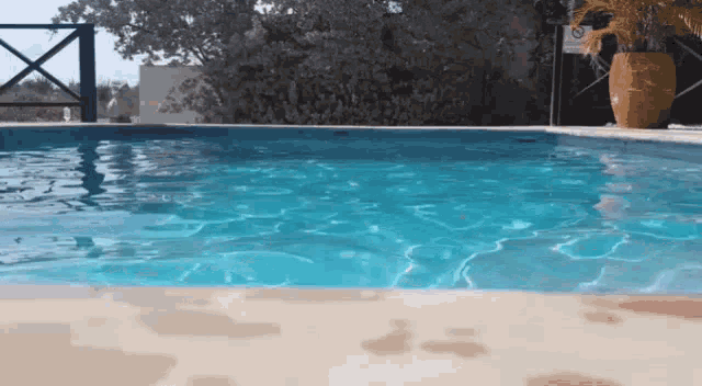 Finger Middle Finger Finger Middlefinger Pool Discover And Share S