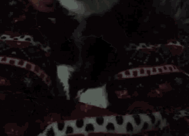 Cat Massage Cat Massage Spaday Discover And Share S