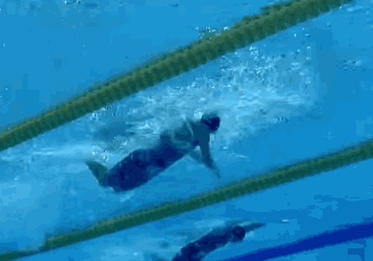 Ljgda Swimming Ljgda Swimming Discover And Share S
