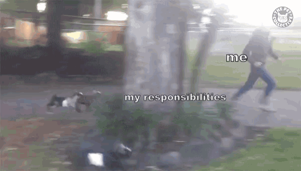 Avoiding Responsibilities Run Away GIF - AvoidingResponsibilities ... Avoiding Responsibilities Run Away GIF - AvoidingResponsibilities ...