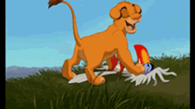 Lion King Funny Lionking Funny Zazu Discover And Share S