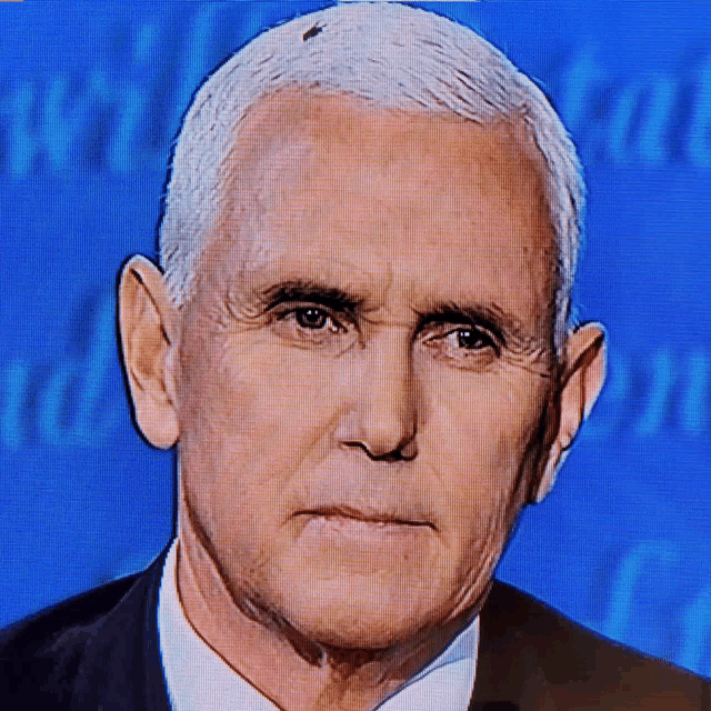 Mike Pence Fly Mikepence Fly Debate Discover And Share S