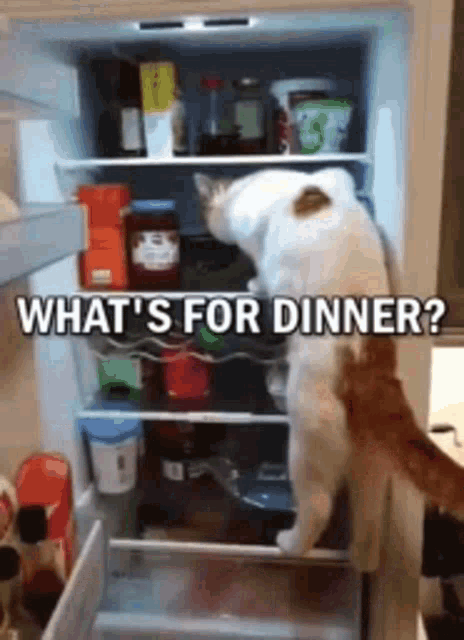 Dinner Dinner Time Dinner Dinnertime Whatsfordinner Discover And Share S