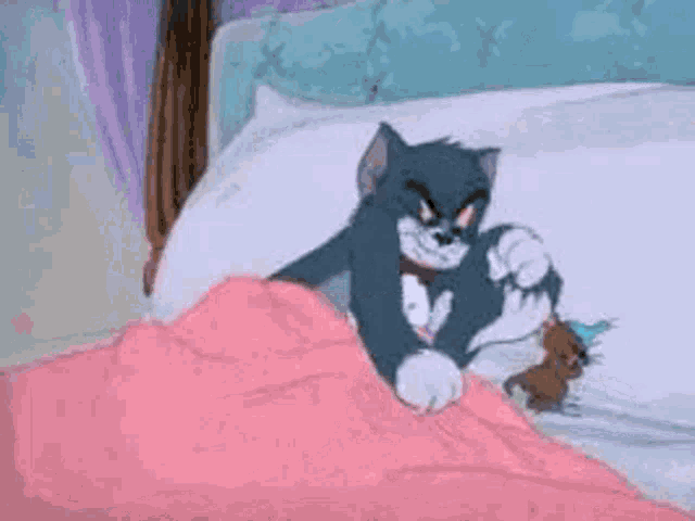 Tom And Jerry Sleeping Tomandjerry Sleeping Blanket Discover And Share S