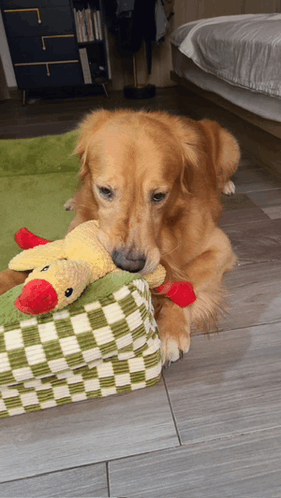 Bubble GIF - Bubble - Discover & Share GIFs