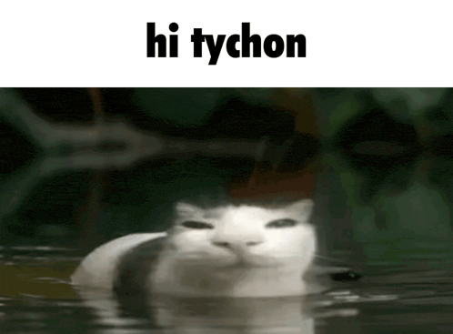 Hi Tychon Meme - Hi Tychon Hi tychon - Discover & Share GIFs